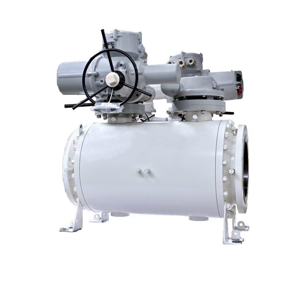 DBB Ball Valve - wzzshv